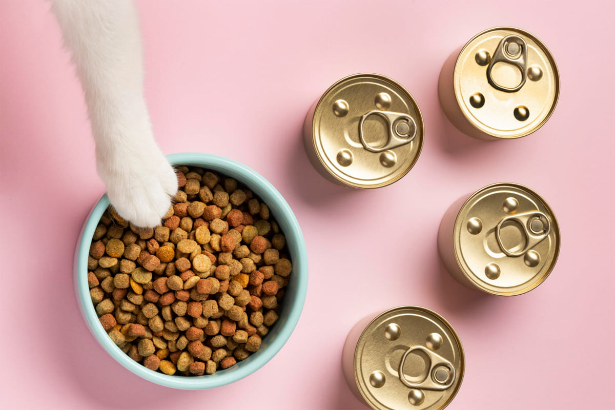 Cat Food 101: Understanding What's in the Bag - ThingsMate
